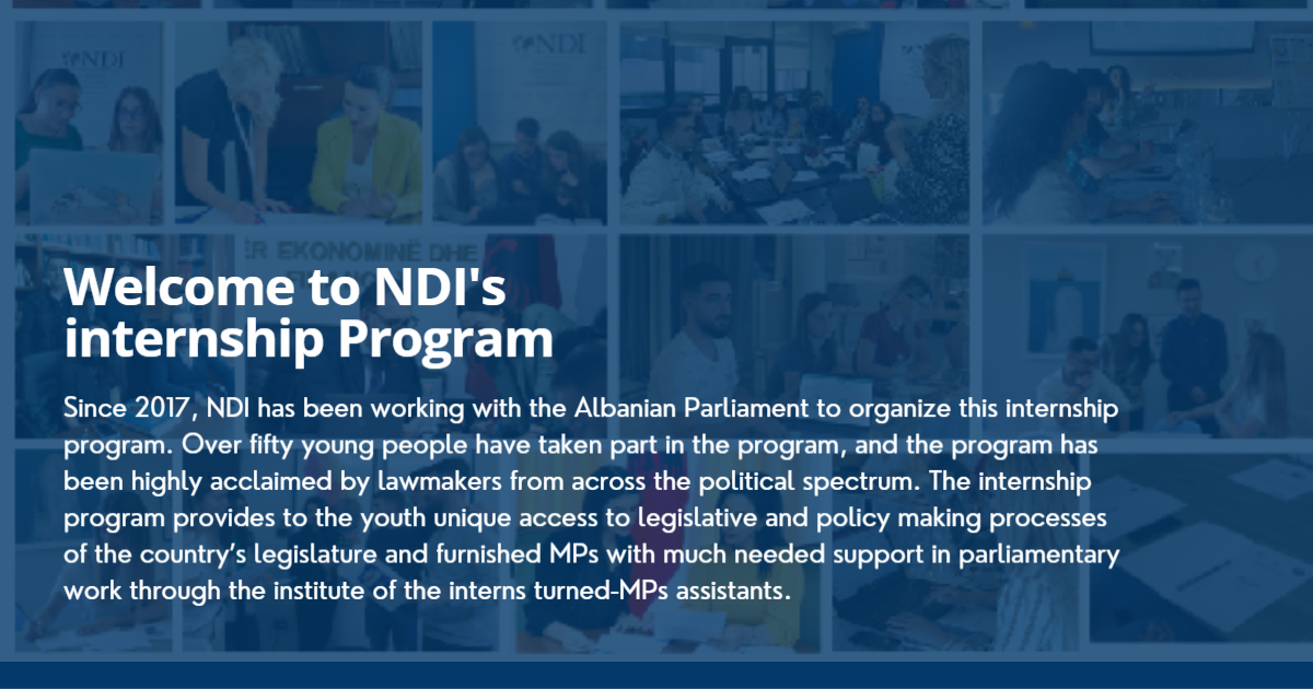 NDI internship program website